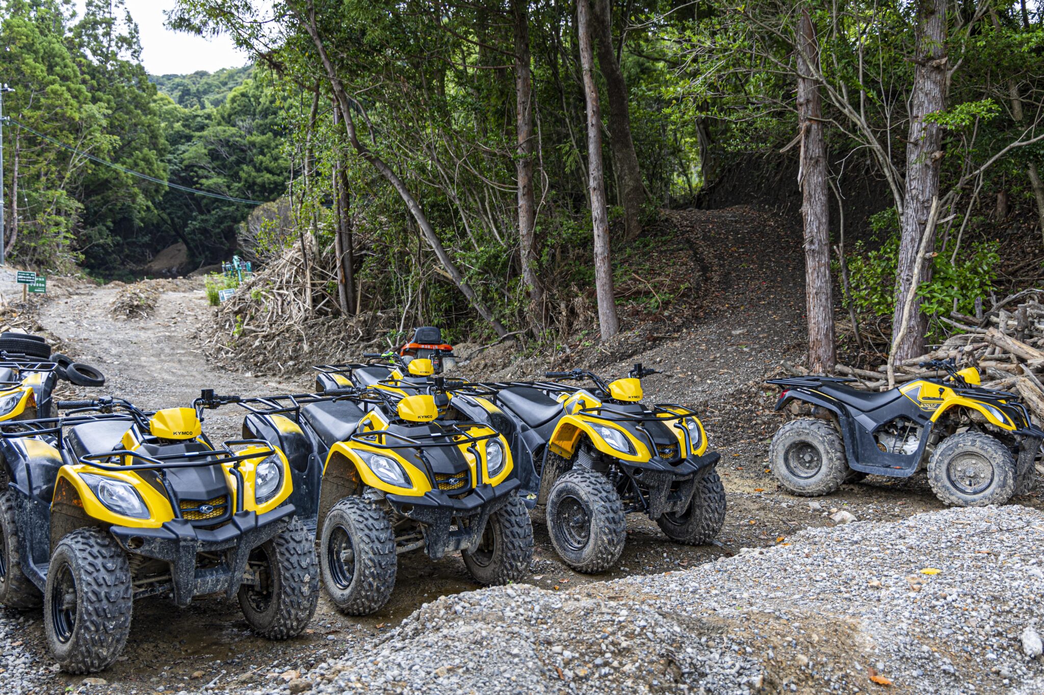 ACTIVITY - MOUNTQ｜1日遊べるアドベンチャーリゾート｜和歌山｜御坊